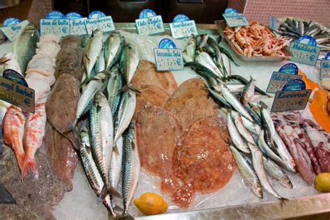 Peixes E Marisco Na Loja Dos Peixes Foto De Stock Imagem De Cavala