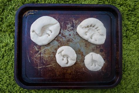 Make Your Own Dinosaur Fossils Tippytupps
