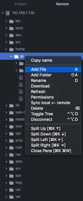 how to write a golang app remotely on a raspberry pi using atom