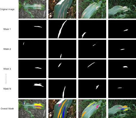 Figure 1 From Towards Accurate Disease Segmentation In Plant Images A Comprehensive Dataset