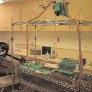 Experimental Model Of A Mock Circulatory Flow Loop Assembled To Measure Download Scientific