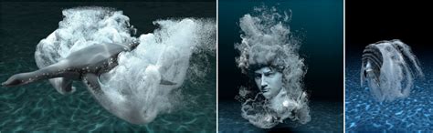 论文审查 Fluid Simulation On Vortex Particle Flow Maps