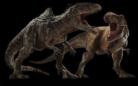 Giganotosaurus Vs T Rex