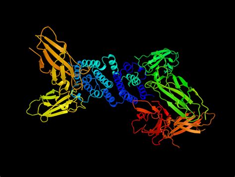 Interferon Gamma Drives Brain Pathology In A Mouse Model Of Multiple