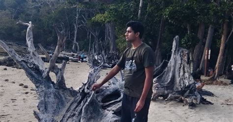 Data Analyst Cognizant Interview Experience Prabeen Bh Naukri Code