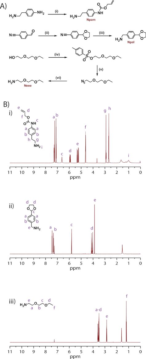 Synthesis Of Information Bearing Peptoids And Their Sequence Directed