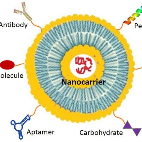 Types Of Nanocarriers Download Scientific Diagram