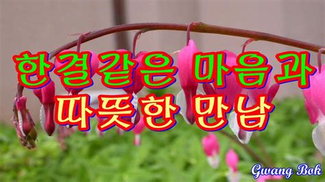 한결같은 마음과 따뜻한 만남 Youtube