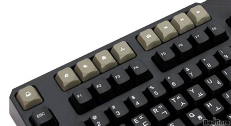 프리뷰 심플한 기계식 키보드에 게임과 멀티미디어 기능을 스카이디지탈 Nkeyboard 메카닉 Gm 보드나라