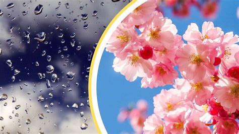 Wie wird das Wetter im neuen Jahr 100 jähriger Kalender mit Vorhersage