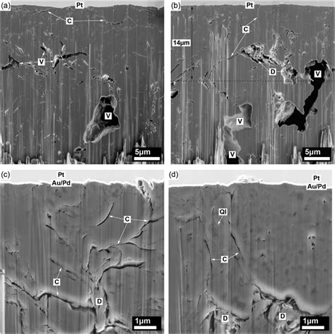 sem micrographs of a cross section showing on overview a b and