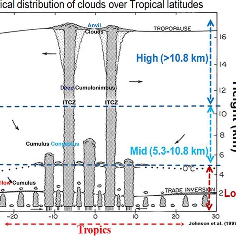 complete evolution of the vertical structure of deep convective cloud