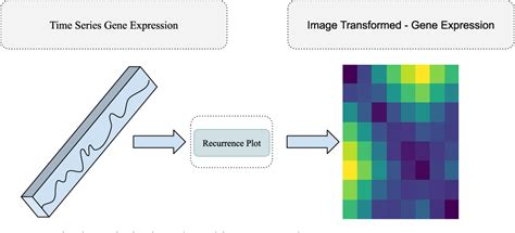 Figure 1 From A Convolutional Deep Clustering Framework For Gene Expression Time Series
