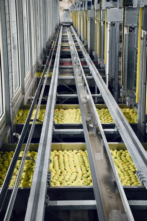 Sustainability Of Production Chains In Latin America