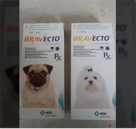 Bravecto 500 Mg Us To Us Fast Delivery At Rs 4000 In Surat Id