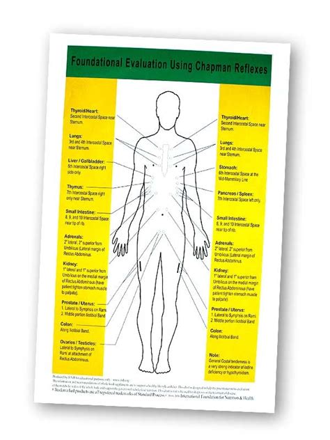 Chapman Reflex Points