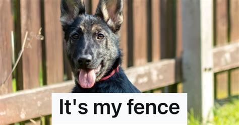His Neighbor Refused To Help Pay To Replace The Fence Separating Their
