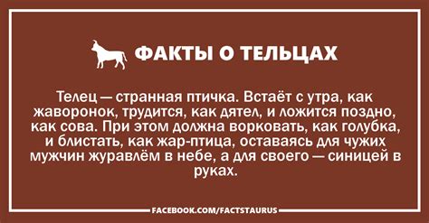 Факты о Тельцах