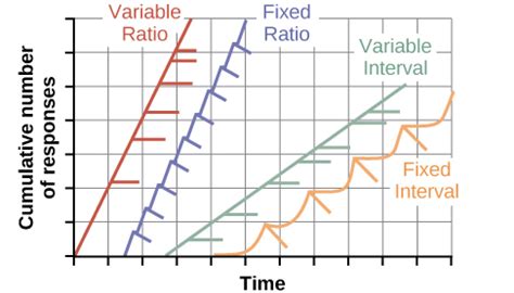 Schedules Of Reinforcement