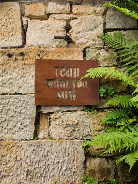 Rusty Re Foundobjects Rusty Re Foundobjects