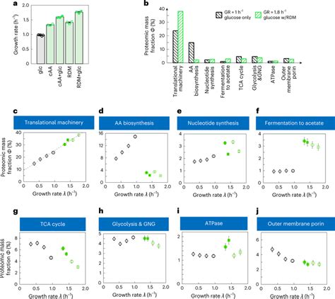 Steady State Protein Abundances A The Steady State Growth Rate Of E Download Scientific
