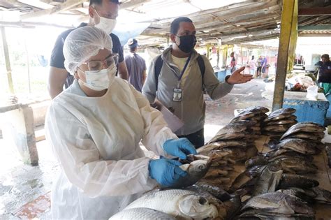 Pescado En Descomposición Fue Decomisado En Soledad Atlántico Infobae
