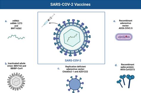 Available SARS CoV 2 Vaccines And Corresponding Mechanism Of Action
