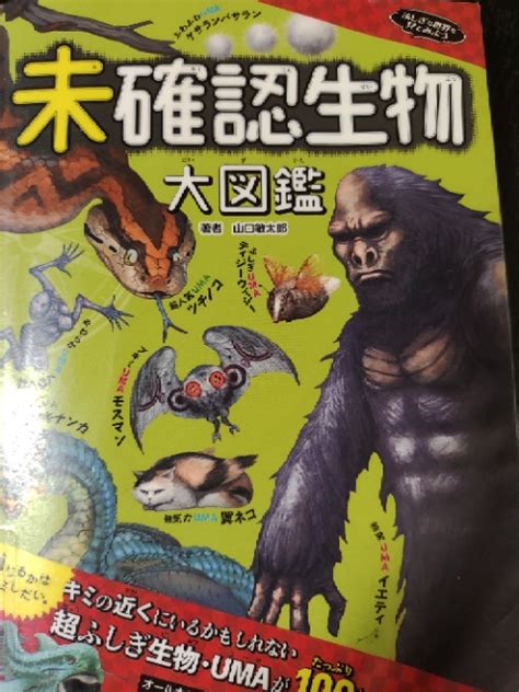 なんだかこわい 「未確認生物大図鑑」 そんな玩具（おもちゃ）収集ブログ