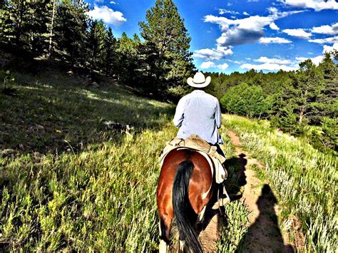 M Lazy C Ranch TrailMeister