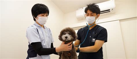 リード動物病院福岡市にある犬猫専門の動物病院CT完備