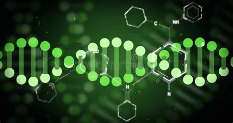 Dna Strand And Molecular Structures Animation Over Green Background