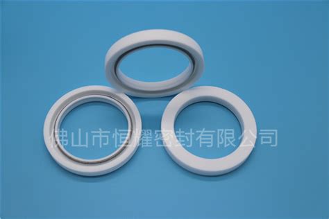 四氟骨架油封 21 四氟骨架油封 佛山市恒耀密封有限公司