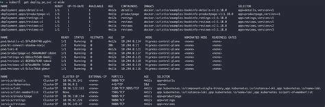 Istio搭建Istio完整环境 配置环境变量istio CSDN博客