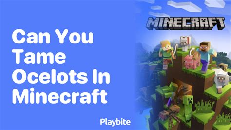Can You Tame Ocelots In Minecraft Playbite