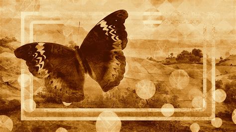 Antecedentes Hermoso Papel Pintado Imagen Gratis En Pixabay Pixabay