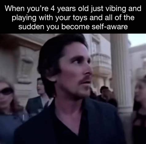 Title Self Aware Ho Chuka Hai Rindiandankmemes