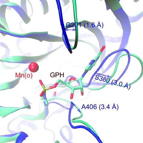 Induced Gtp Binding Pocket As Revealed From Structural Comparison Download Scientific Diagram