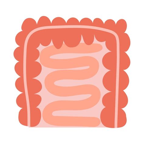 El intestino humano órgano de dibujos animados ilustración vectorial