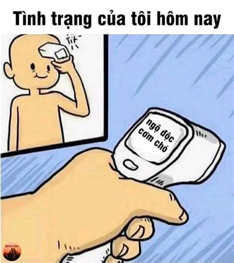 Ghim trên Meme