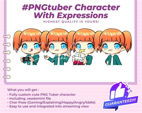 Pngtuber Pngtuber Chibi Pngtuber Twitch Pngtuber Model  Etsy