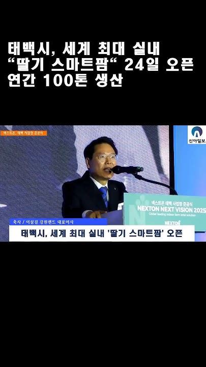 태백시 세계 최대 딸기 스마트팜 24일 오픈 신아일보 News Shorts 뉴스 태백시 넥스트온 스마트팜