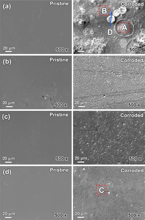 E Sem Micrographs Of The Pristine And Corroded Surface Of Fe 758 Si 12 Download Scientific