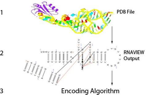 Figure 11 From Aminormotiffinder A Graph Grammar Based Tool To Effectively Search A Minor