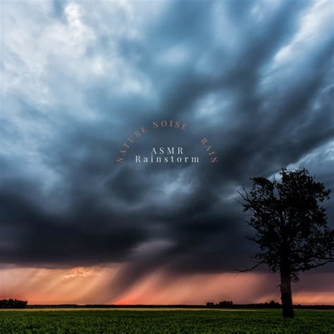 Stream Asmr Warm Rain By Asmr Rainstorm Listen Online For Free On