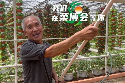 向全世界宣布我们在菜博会等你 澎湃号媒体 澎湃新闻 The Paper
