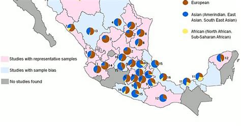 Recolor Of Mexico Genetic Map Imgur