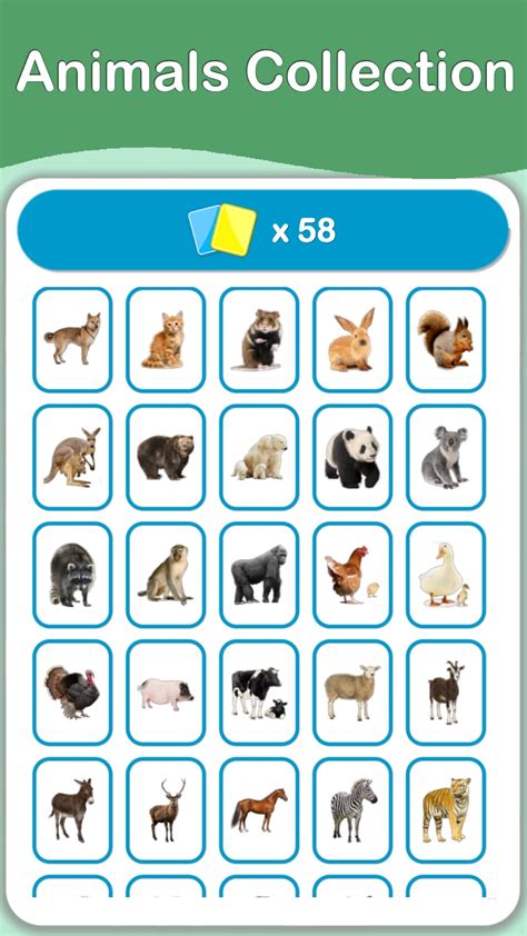 Animals Cards Learn English Pour Android Télécharger