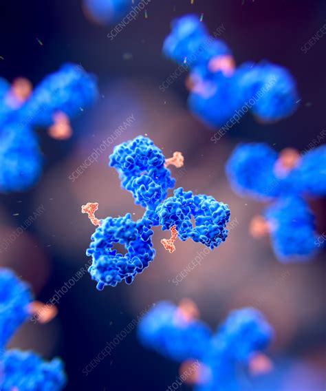 Antibody Drug Conjugate Illustration Stock Image F0433630