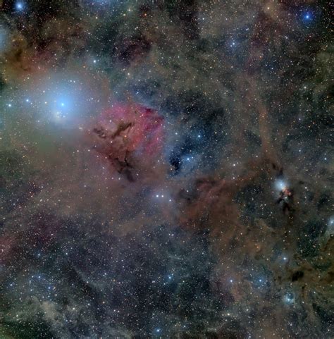9 Science Joanmira Astronomy Stardust In Perseus