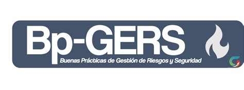 Buenas Prácticas De Gestión De Riesgos Y Seguridad